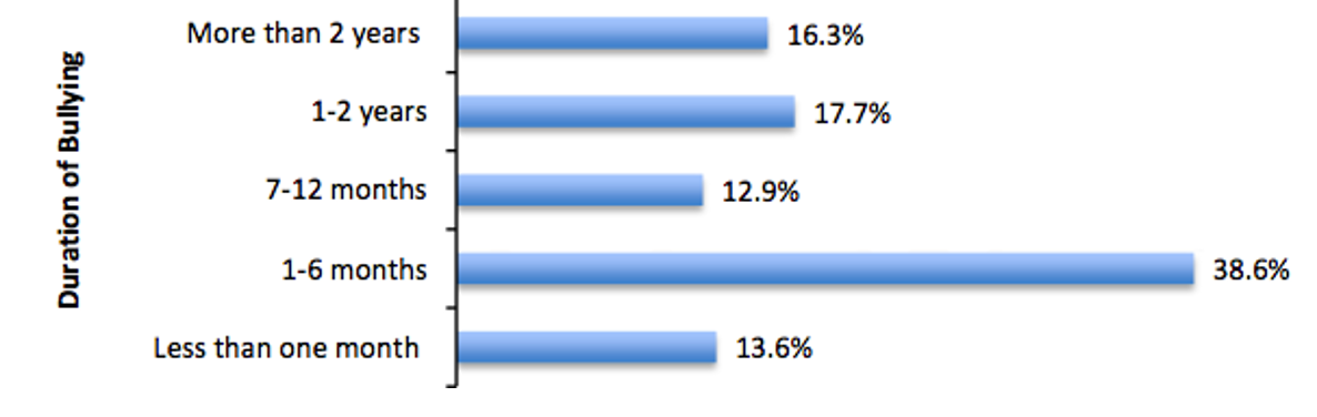 What is the ironic failure highlighted by your workplace bullying policy?